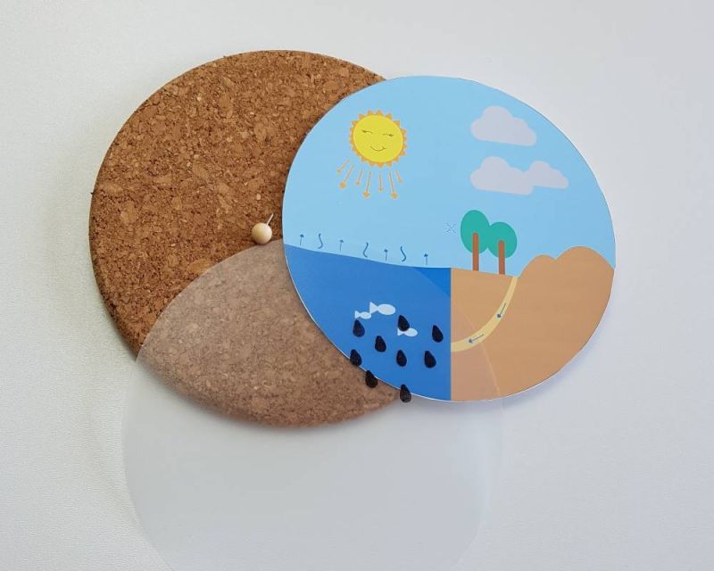 Uitleg over de waterkringloop: Hoe ontstaat regen?