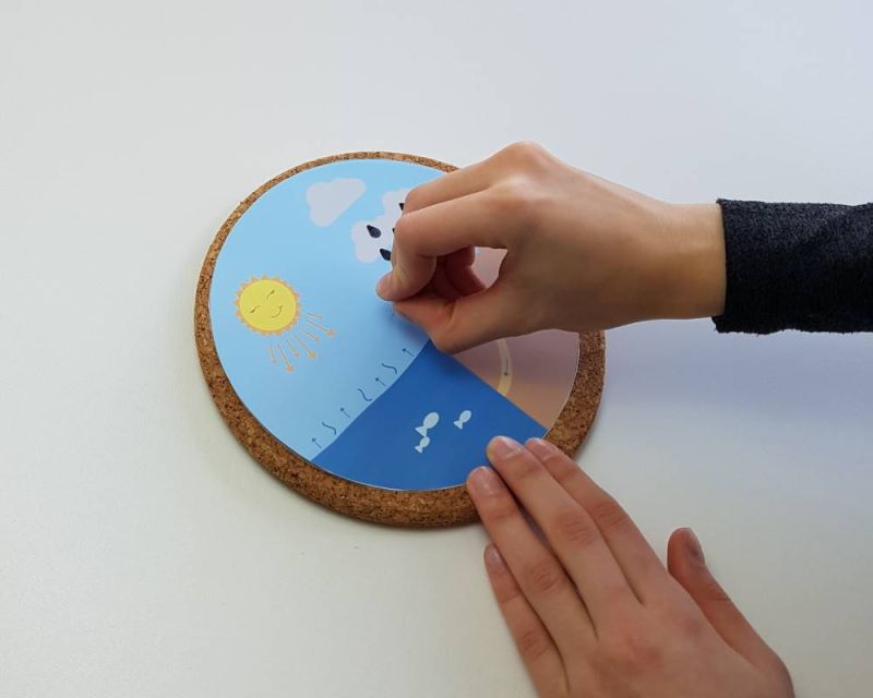 Uitleg over de waterkringloop: Hoe ontstaat regen?